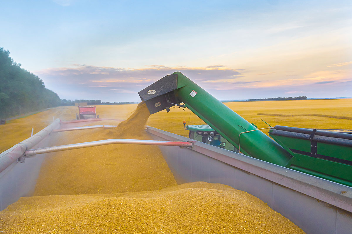 Startseite - Bindewald