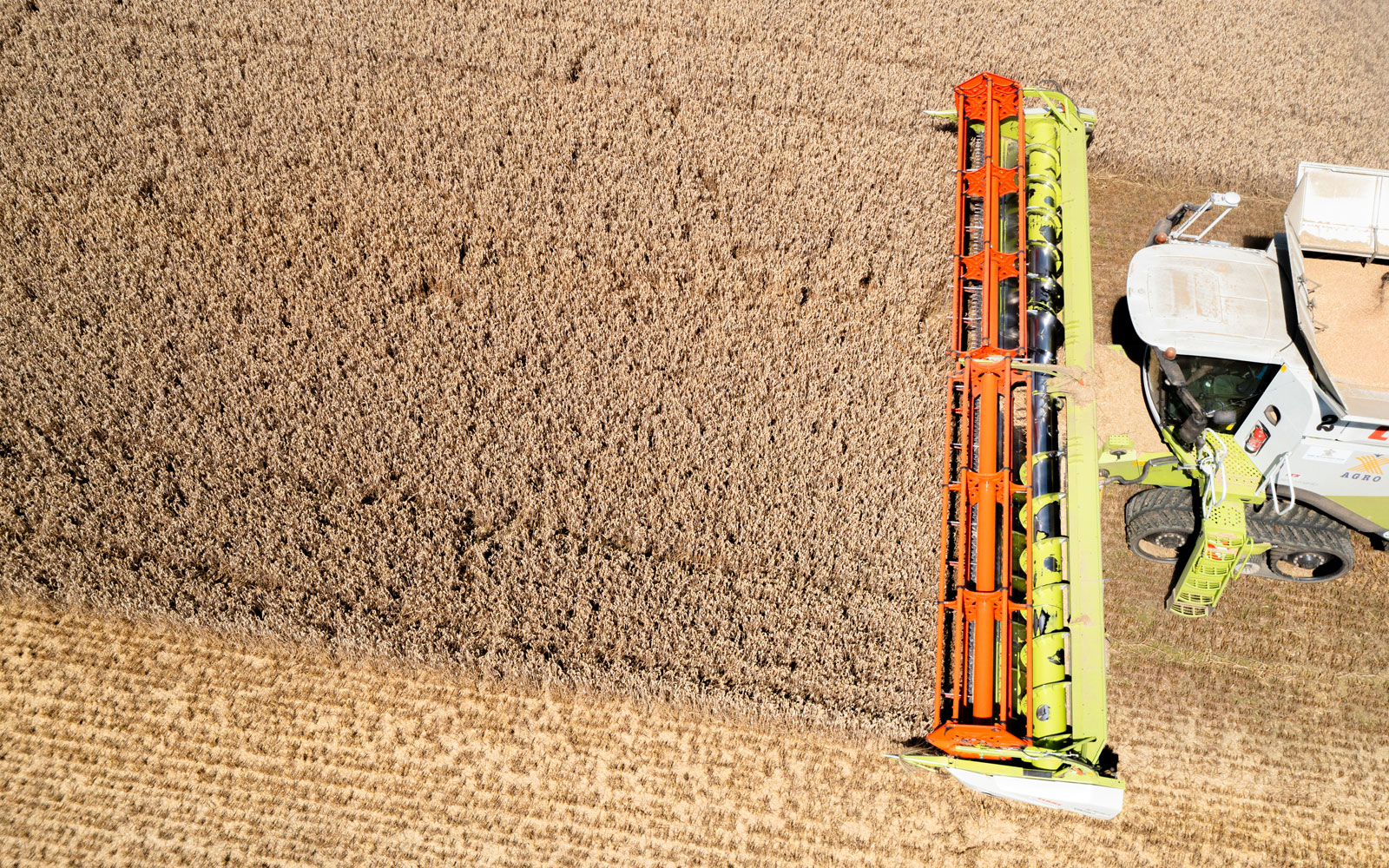 Startseite - Bindewald